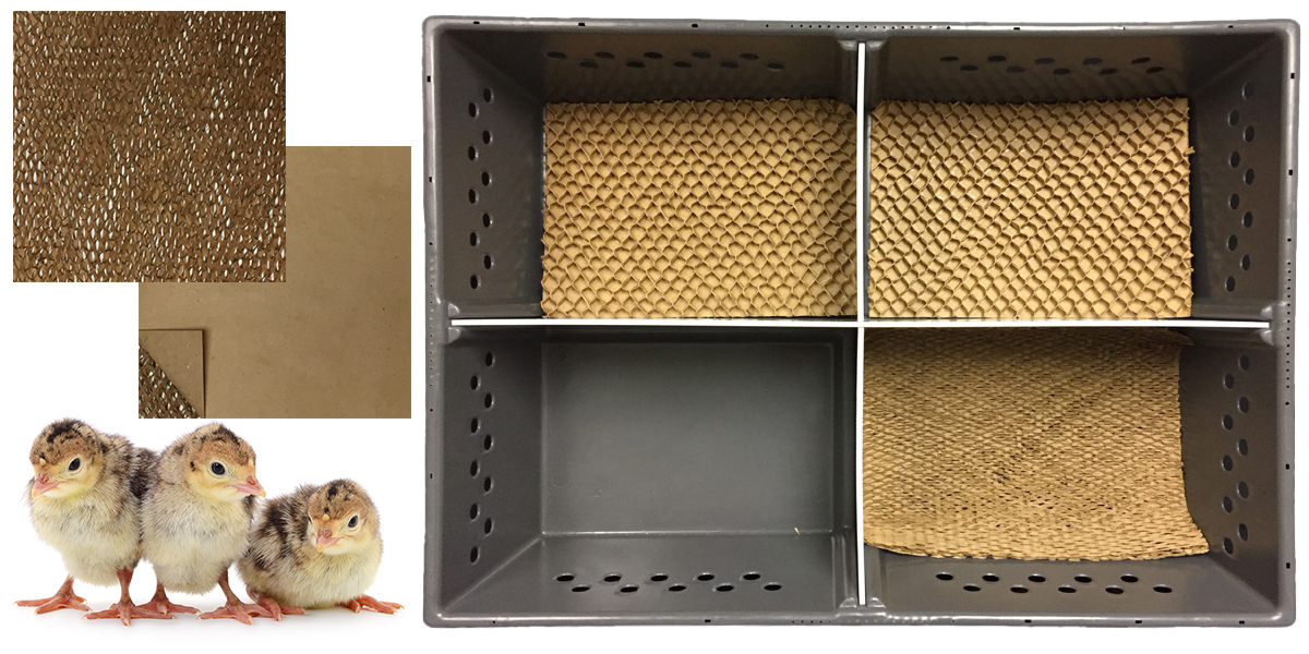 FG Poultry - Filtration Group Finishing